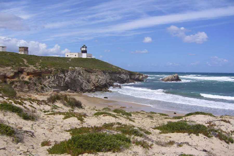 Les plus belles plages sauvages de Tunisie Ã visiter absolument cet Ã©tÃ©